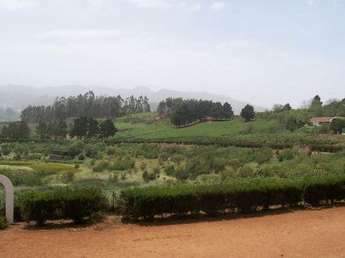 La Laguna de Valleseco | Sobre Canarias : Sobre Canarias